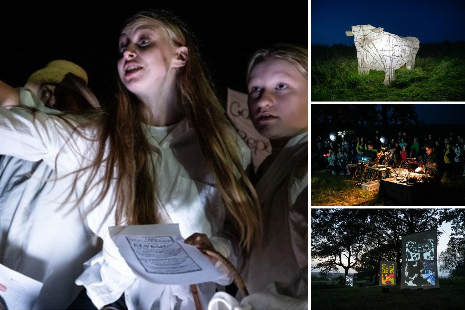 PICTURES: Glow Badbury lights up landmark rings for special event | The ...