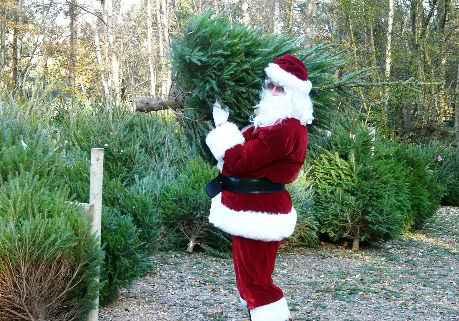 Tasty treats and trees on offer at Moors Valley Country Park and Forest ...