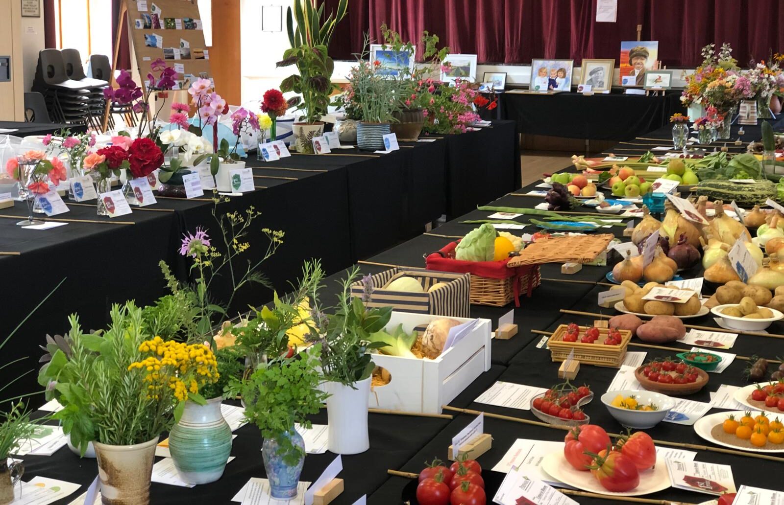 Upton Horticultural and Craft Show 2024 hailed as "most successful yet ...