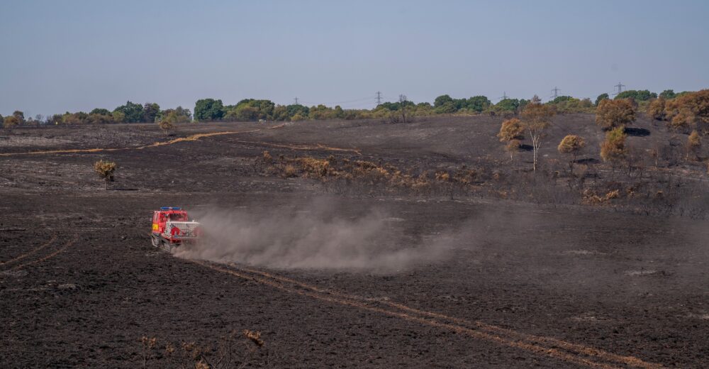 End in sight for Holt Heath fire as blaze burns for six days | The New ...