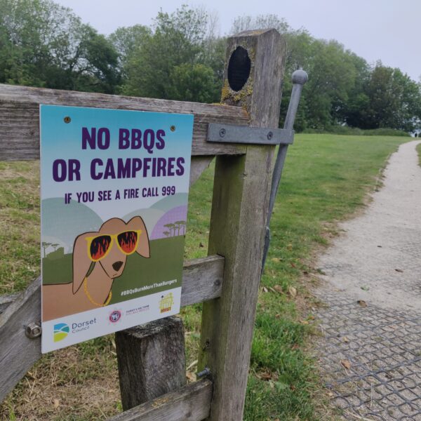 Firefighters battle to control Holt Heath fire after 'major incident ...