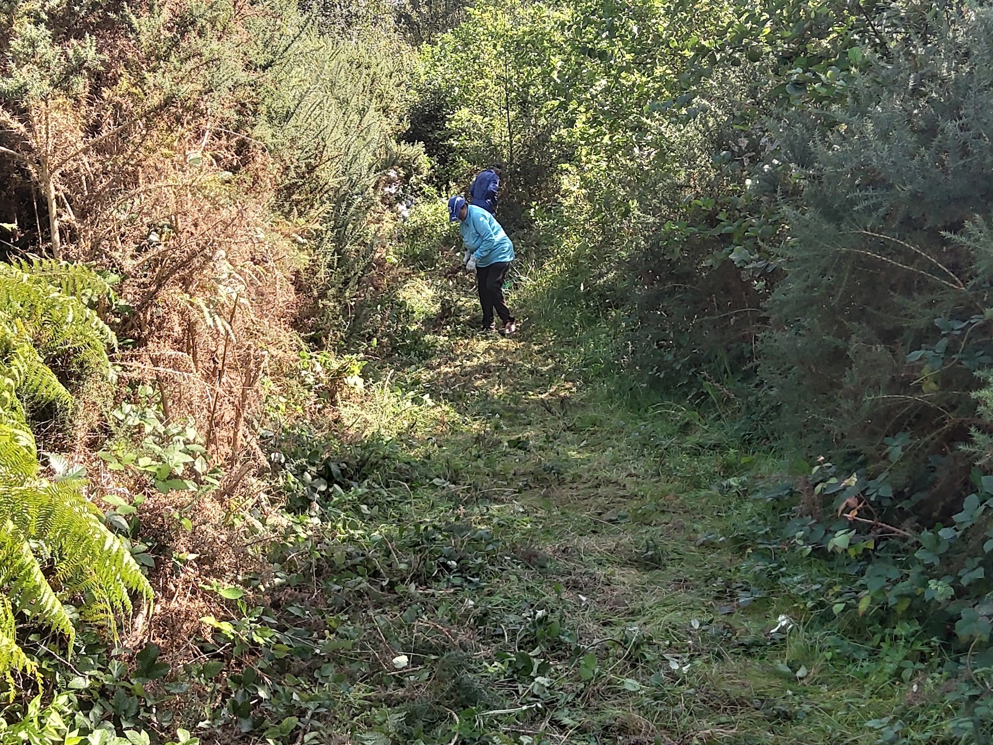 Work starts to clear former military railway route - now a public ...