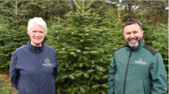 Weldmar branching out with tree collection | Blackmore Vale Magazine
