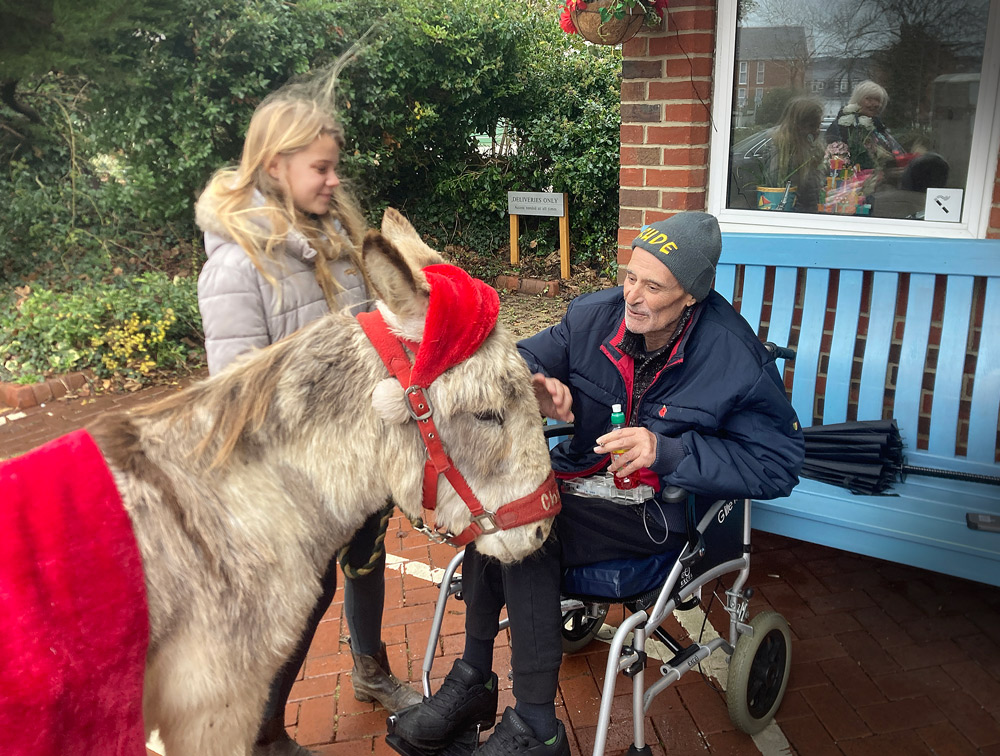 Therapy donkey Charlie concludes ‘12 Days’ event | The New Stour And ...
